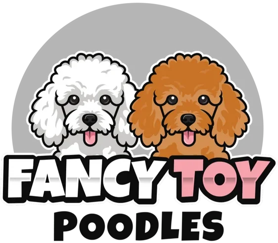pet products - Fancy Toy Poodles